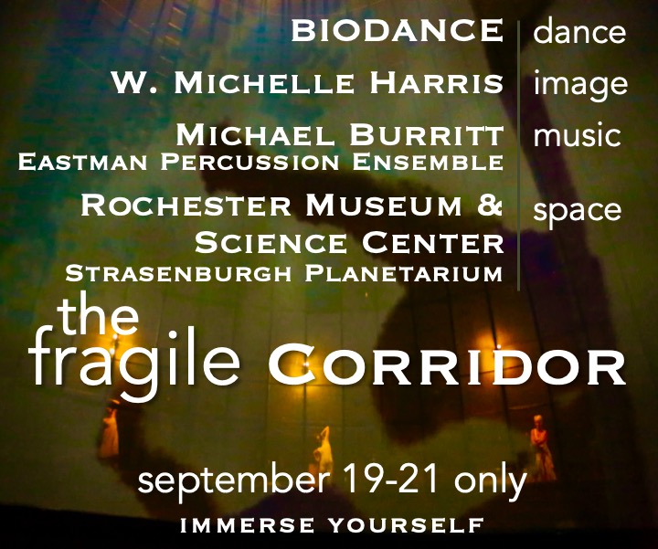 the fragile corridor – Rochester Fringe 9/19-21, 2019 | Biodance